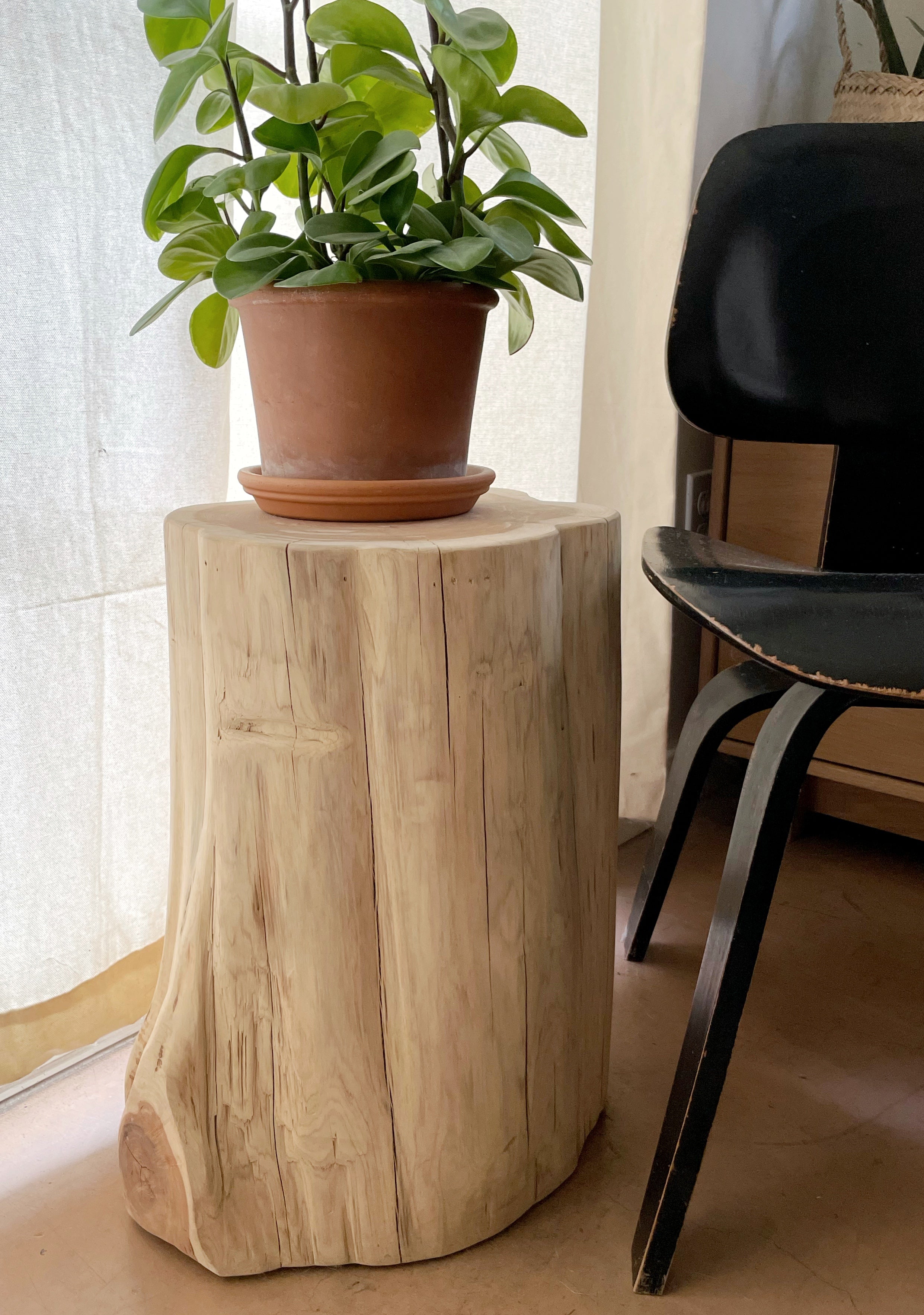Home › Jupiter Side Table - Cedar