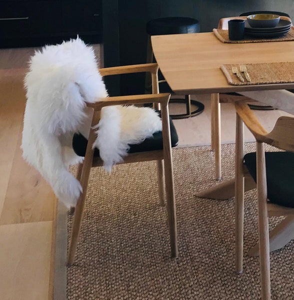 SOBU Oakland | Shop Designed and Handpicked Furniture